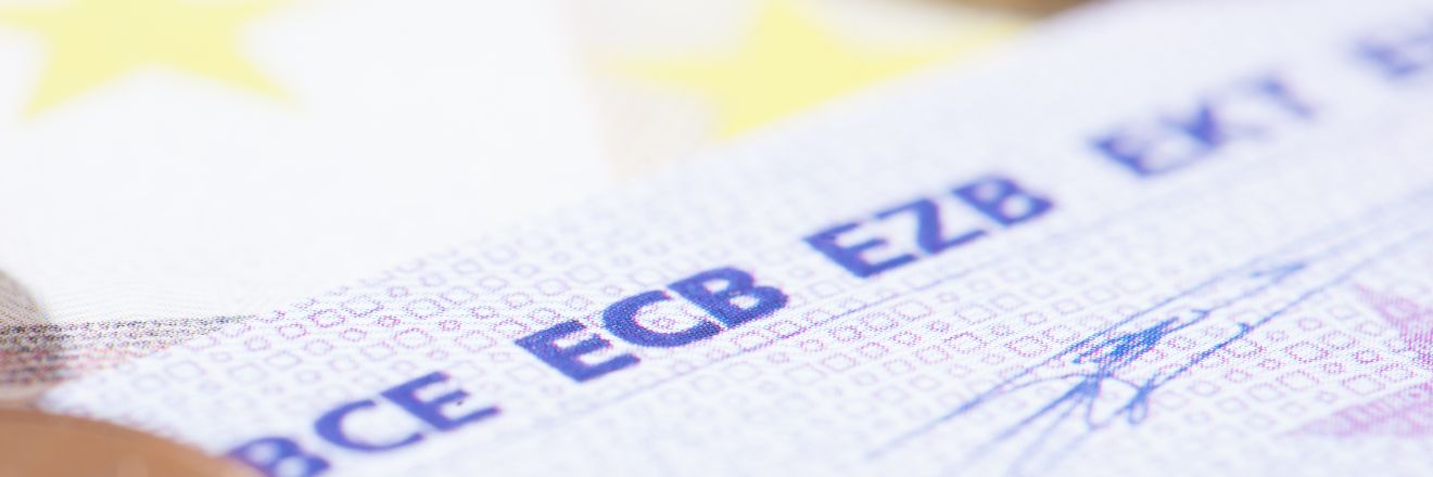 ECB plans for simplification and increasing efficiency in banking ...
